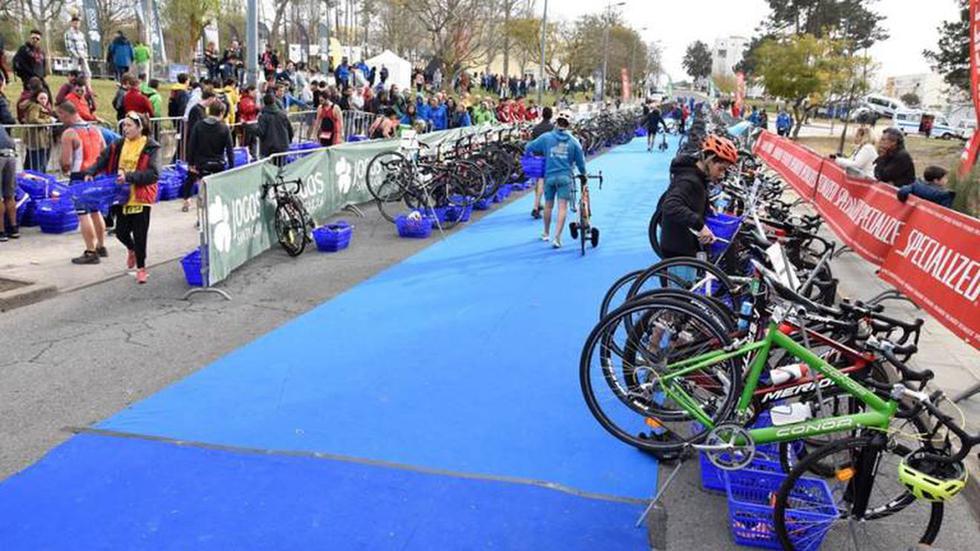 Federação de Triatlo de Portugal apoia clubes até 6.000 euros por mês ...