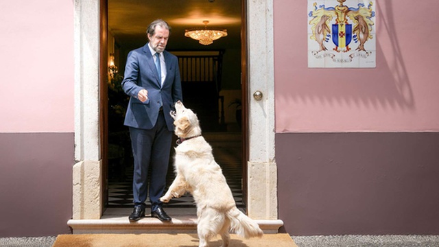 Morreu Sissi, a mascote da Quinta Vigia