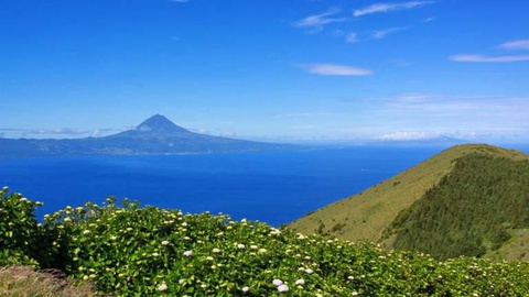 Relatório sugere aumentar área totalmente protegida no mar dos Açores ...