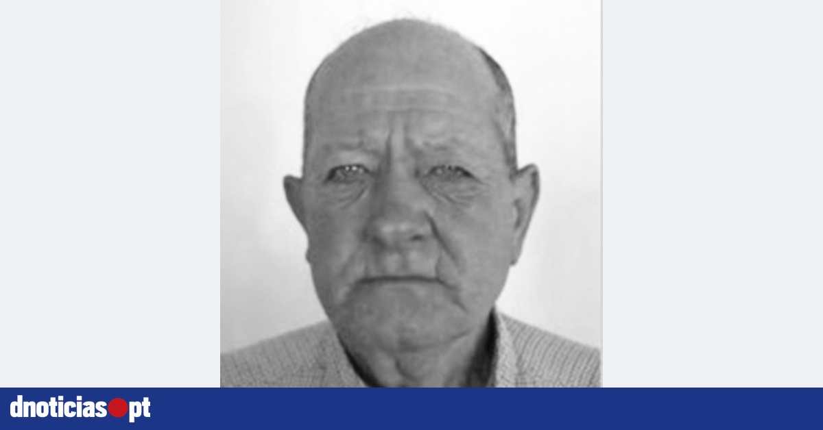 João Baptista Fernandes — DNOTICIAS.PT