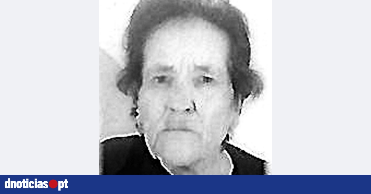 Maria José Fernandes Camacho Gonçalves — DNOTICIAS.PT