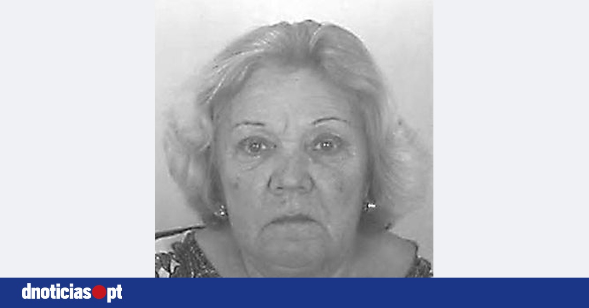 Maria José Mendonça Fernandes — DNOTICIAS.PT