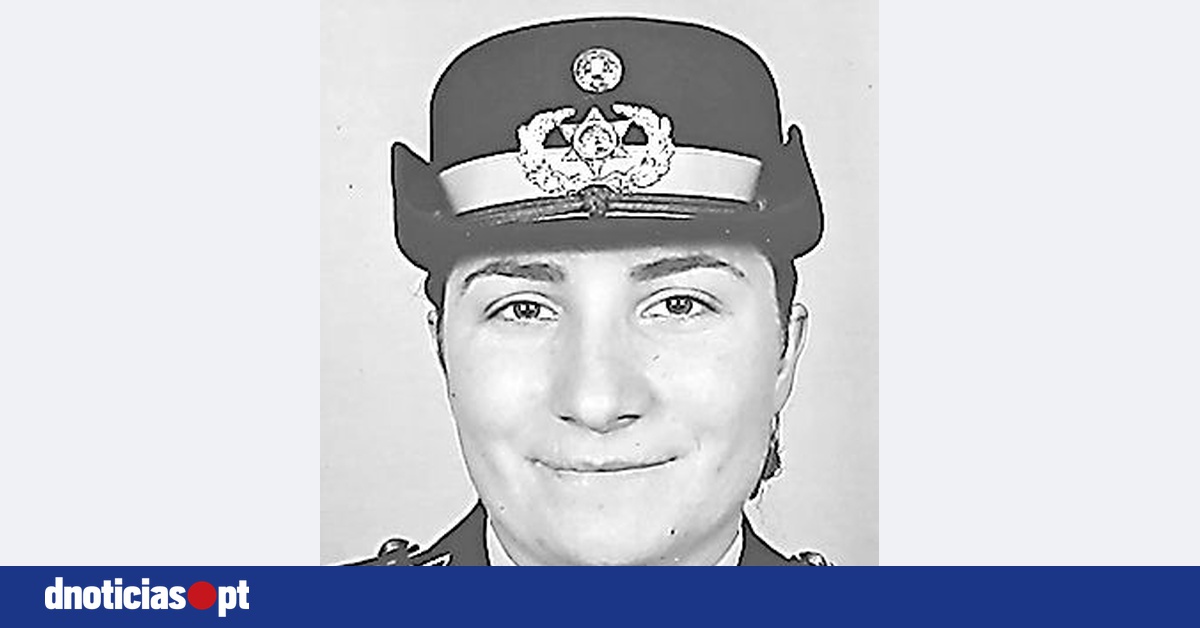 Maria José Nóbrega Rocha — DNOTICIAS.PT