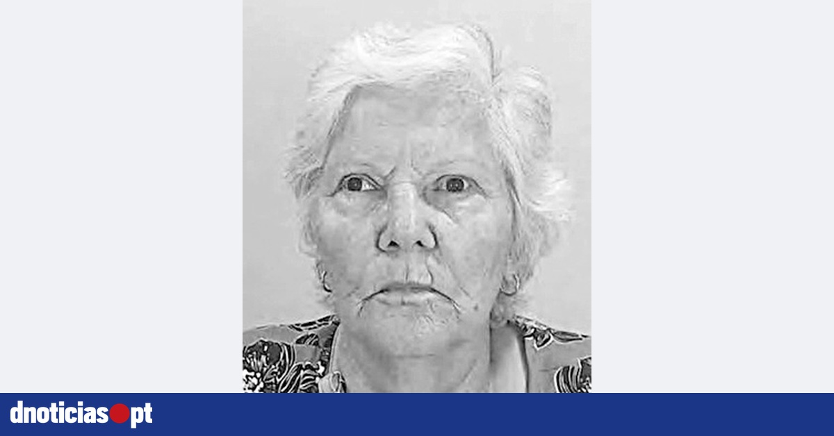 Maria José de Andrade — DNOTICIAS.PT