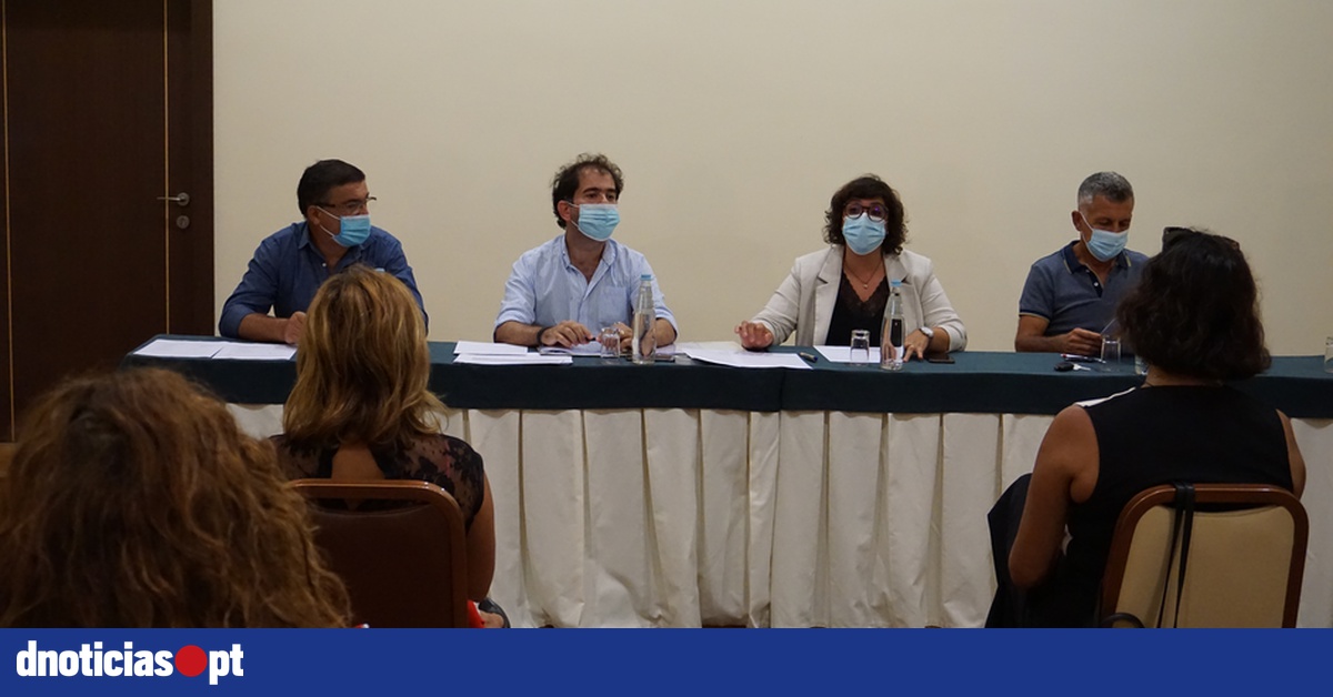 Candidata do PS tem “expectativa de ganhar” em Santa Cruz — DNOTICIAS.PT