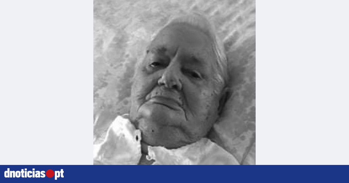 Rosa Gouveia — DNOTICIAS.PT