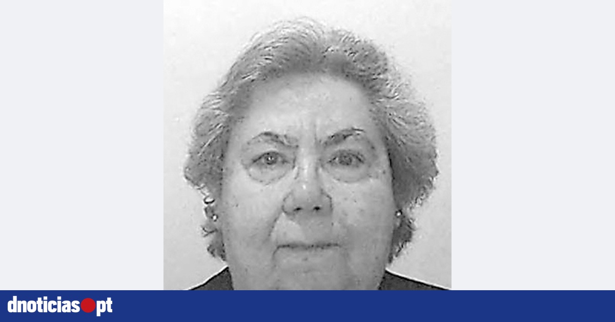 Maria José Castro — DNOTICIAS.PT