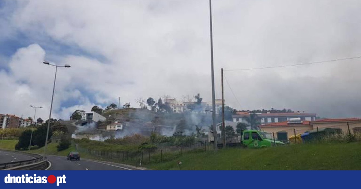 Queimada controlada mobiliza bombeiros — DNOTICIAS.PT
