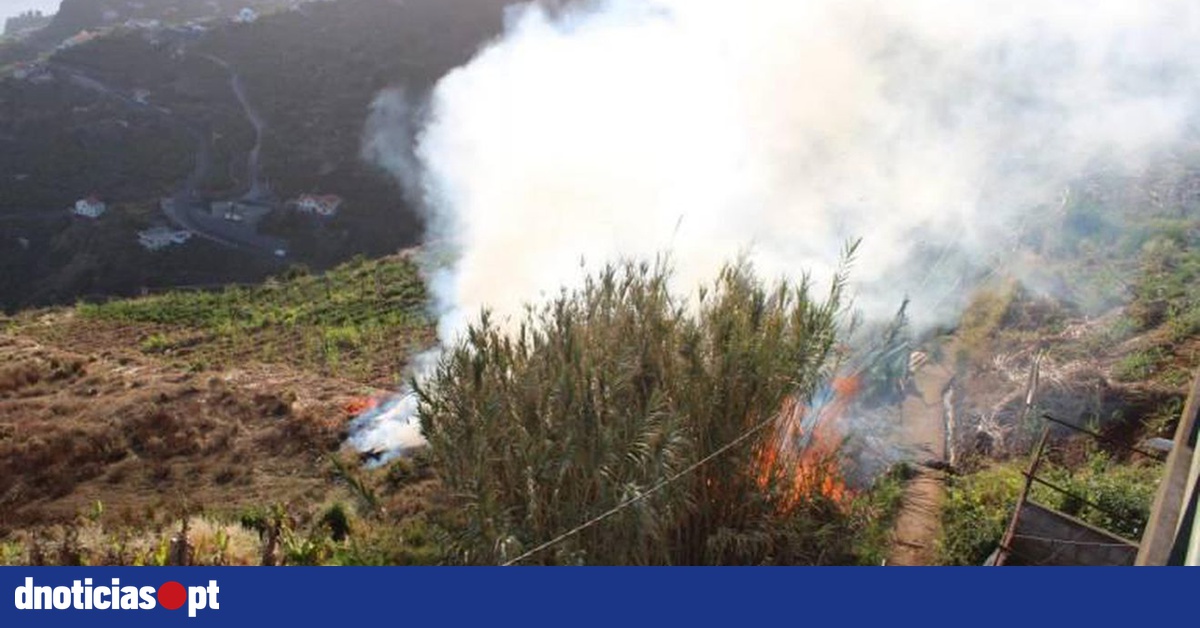 Fogo na Tabua deixou casa em risco, veja o vídeo — DNOTICIAS.PT