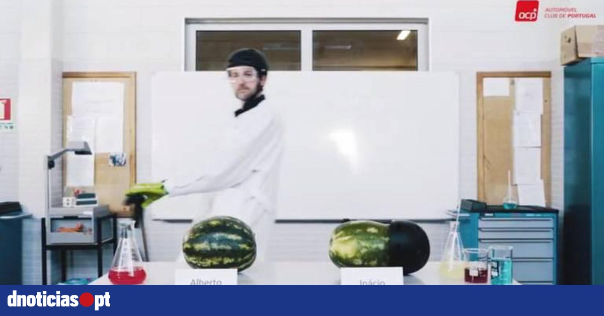 “Não sejas Alberto, usa capacete!” (vídeo) — DNOTICIAS.PT