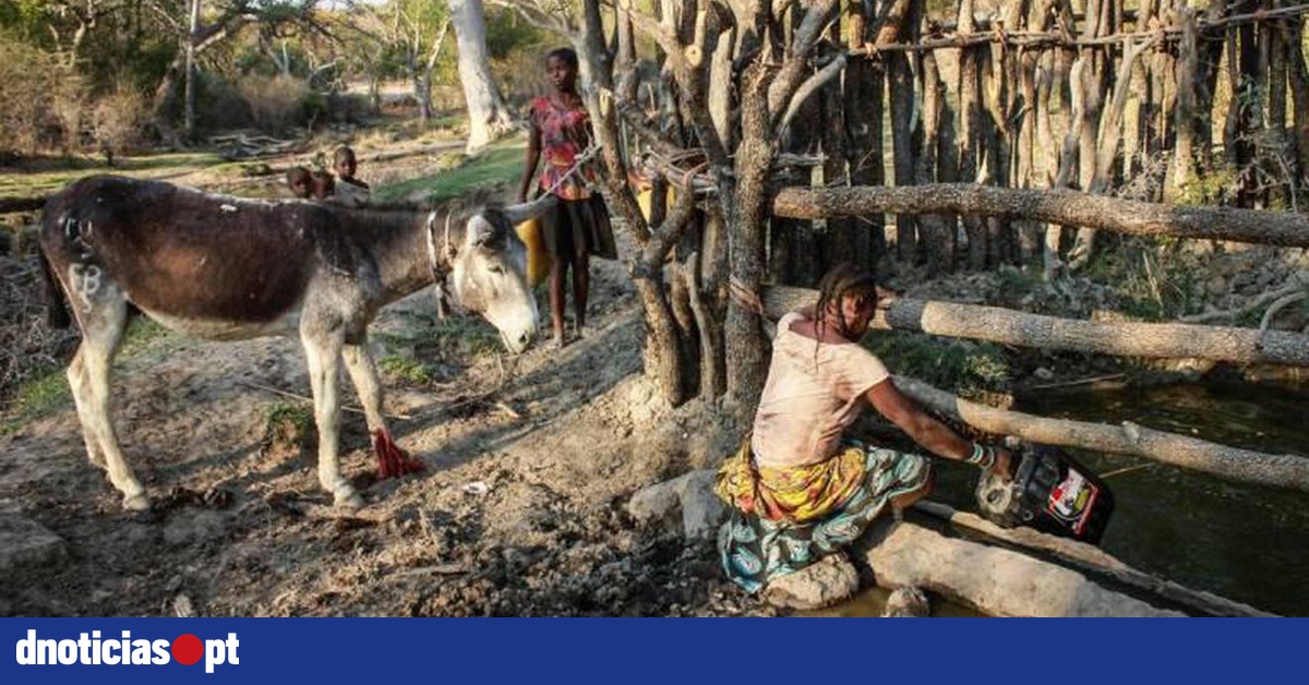 Seca no sul de Angola afecta 2,3 milhões de pessoas — DNOTICIAS.PT