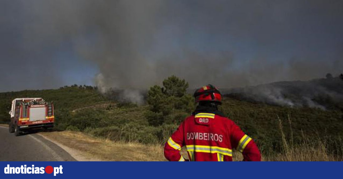 Incêndio em Pedrógão Grande matou 19 pessoas — DNOTICIAS.PT