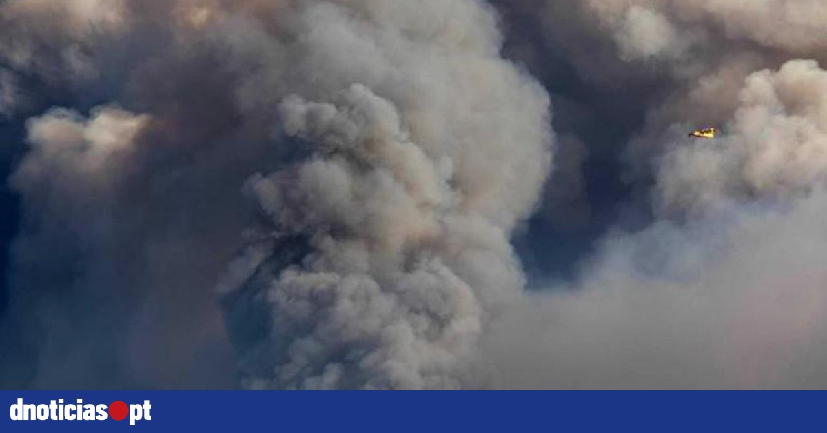 Protecção civil destaca cinco fogos activos esta manhã — DNOTICIAS.PT