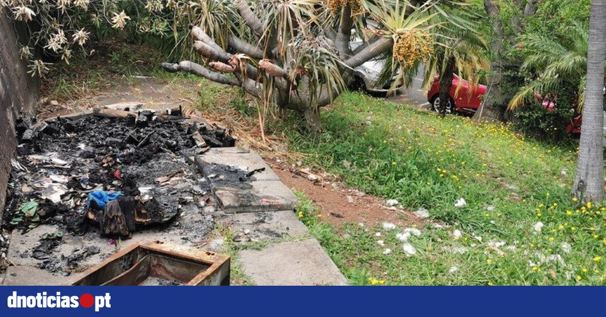 Raimundo Quintal denuncia "estado miserável" do jardim da Universidade ...