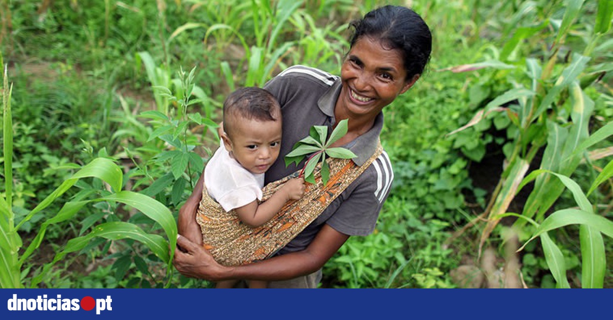Relatório das Nações Unidas confirma problemas graves de nutrição em ...