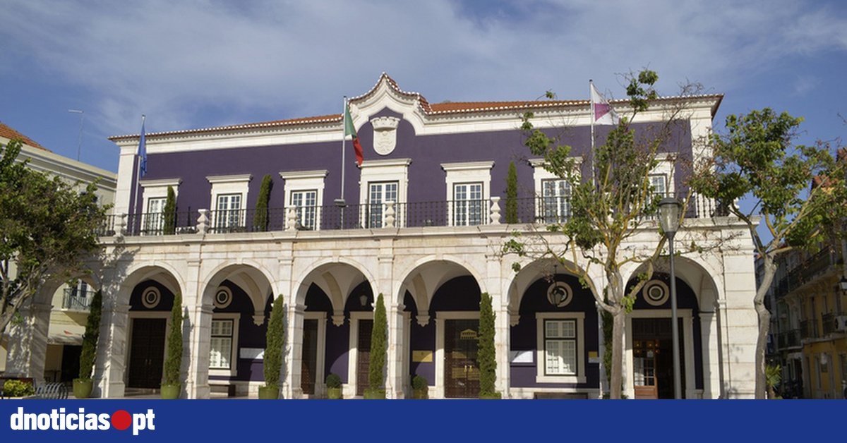 PSD Madeira debate temas dos 'Transportes' e 'CINM' com a União ...