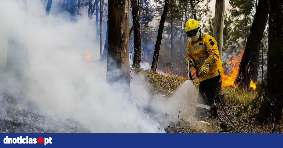Mais de 400 operacionais combatem 11 fogos activos às 18h00 — DNOTICIAS.PT