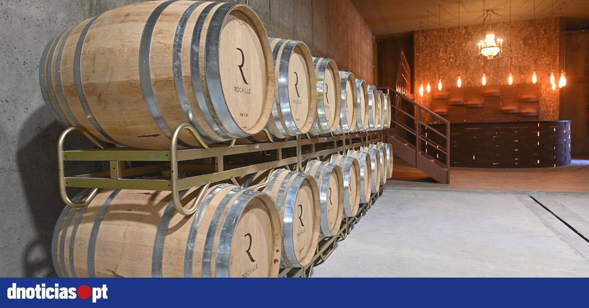 Douro beneficia 104.000 pipas de Vinho do Porto — DNOTICIAS.PT