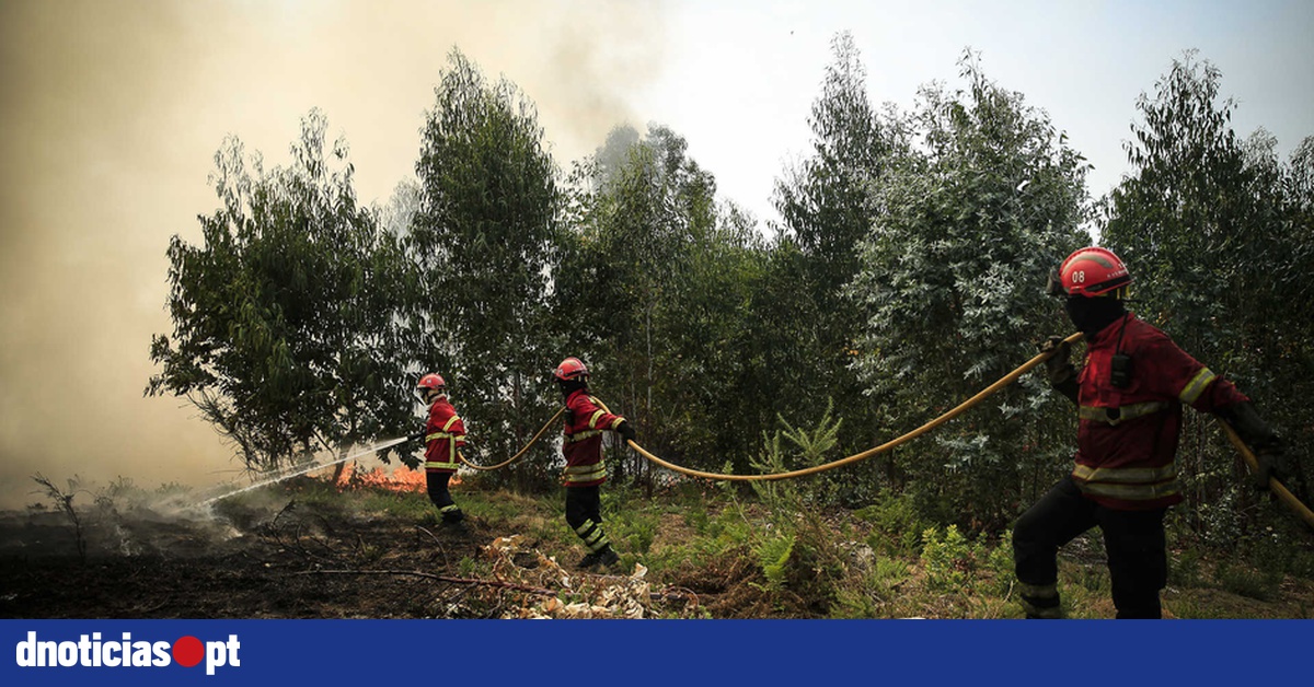 Mais de 200 operacionais combatiam dois fogos activos pelas 06:45 ...