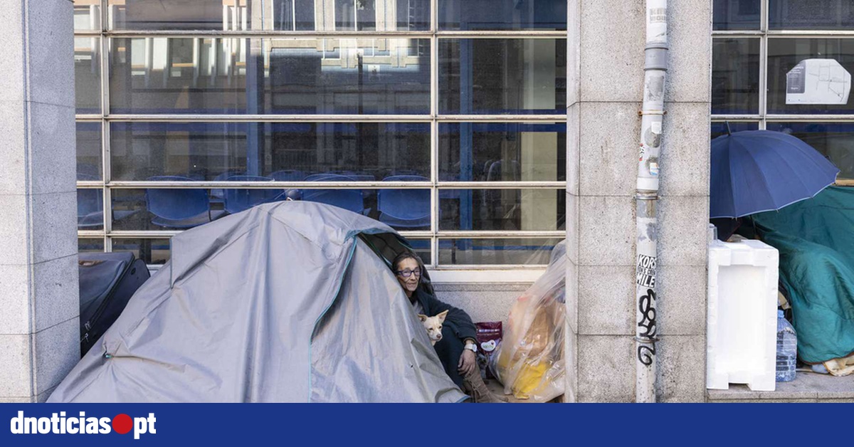Sem-abrigo do Porto refugiados em tendas para fugir ao frio — DNOTICIAS.PT
