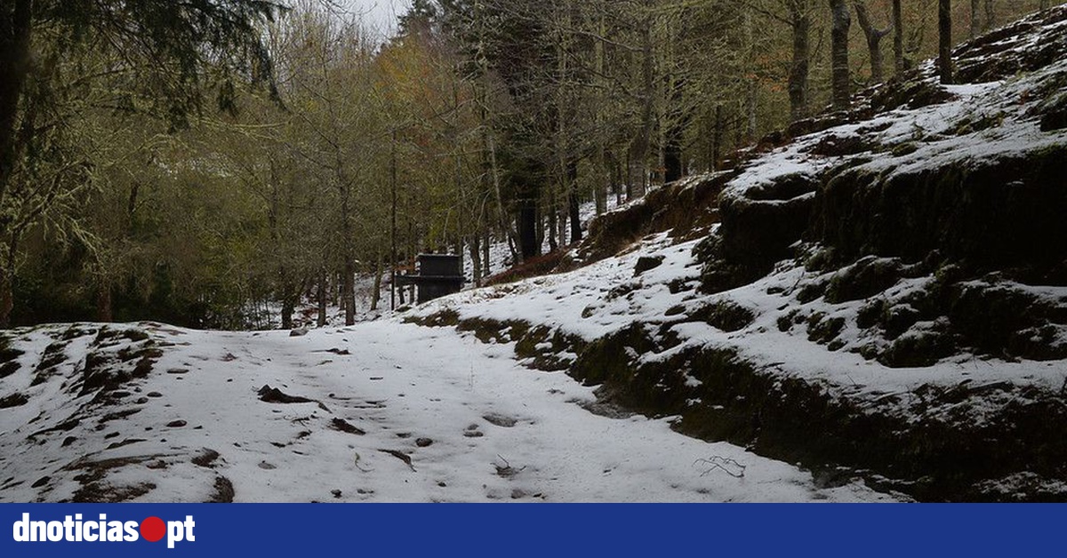 Quinta-feira com trovoada e possível queda de neve na Madeira ...
