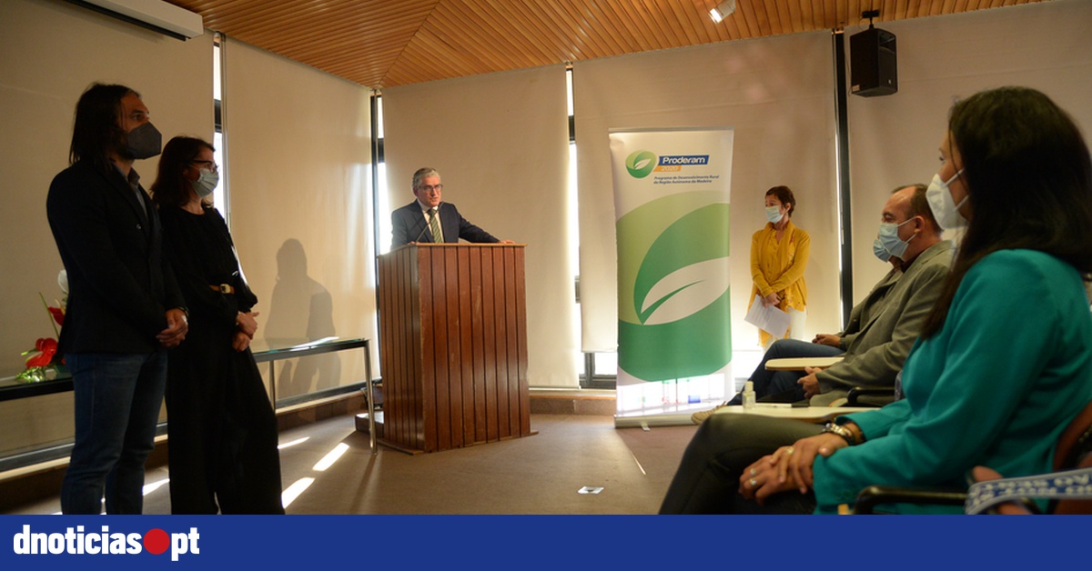 Aprovados projetos de todos os concelhos da Madeira — DNOTICIAS.PT
