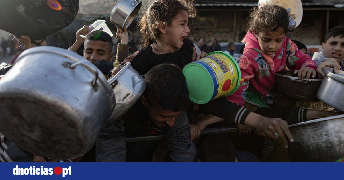 100 das 400 mortes por malnutrição em Gaza são de crianças — DNOTICIAS.PT