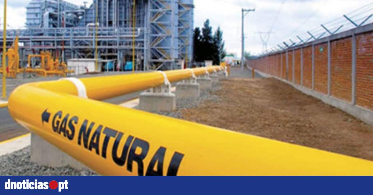 Galp Gás Natural Distribuição passa a chamar-se Floene — DNOTICIAS.PT