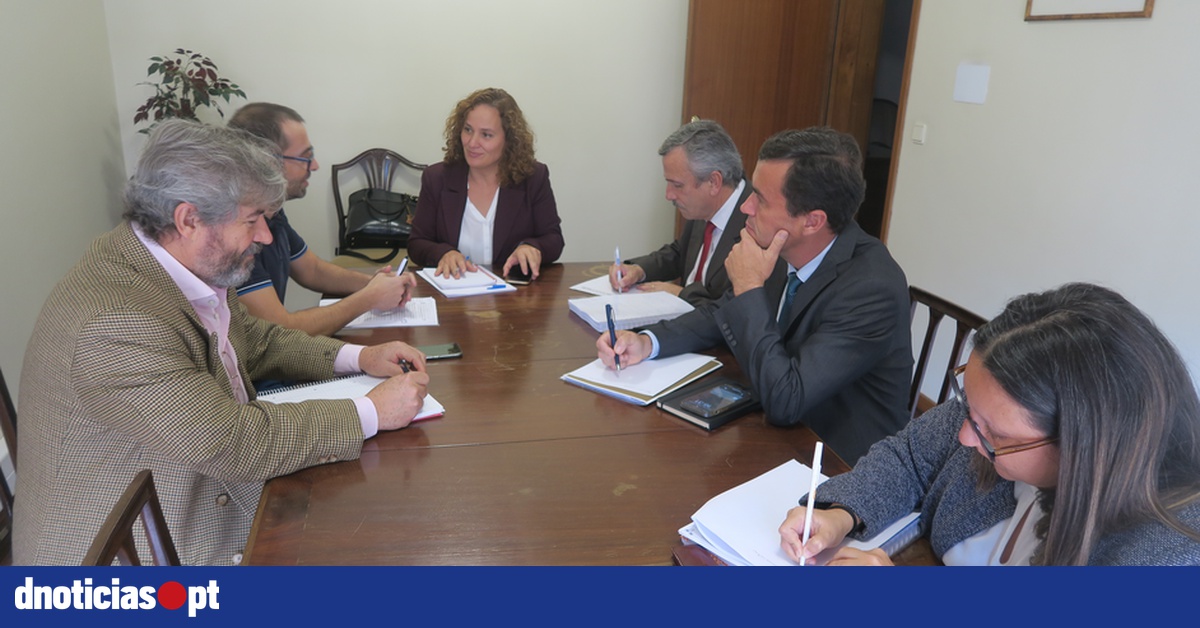 Grupo Parlamentar do PSD destaca valorização da carreira docente ...