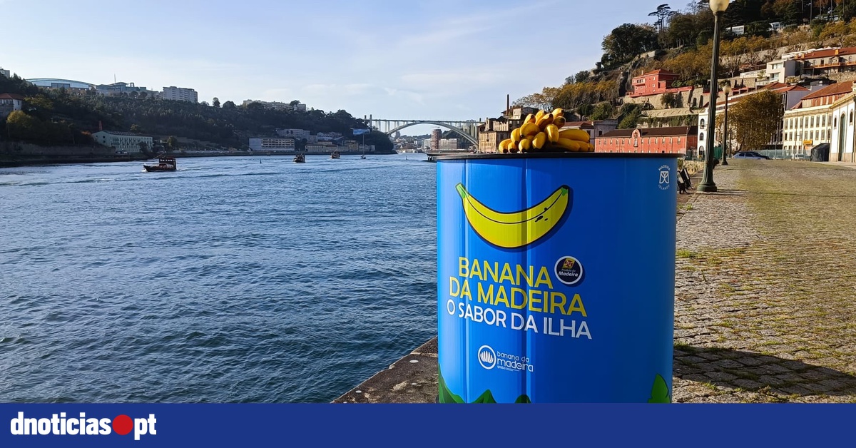GESBA volta a marcar presença na Maratona do Porto 2022 — DNOTICIAS.PT