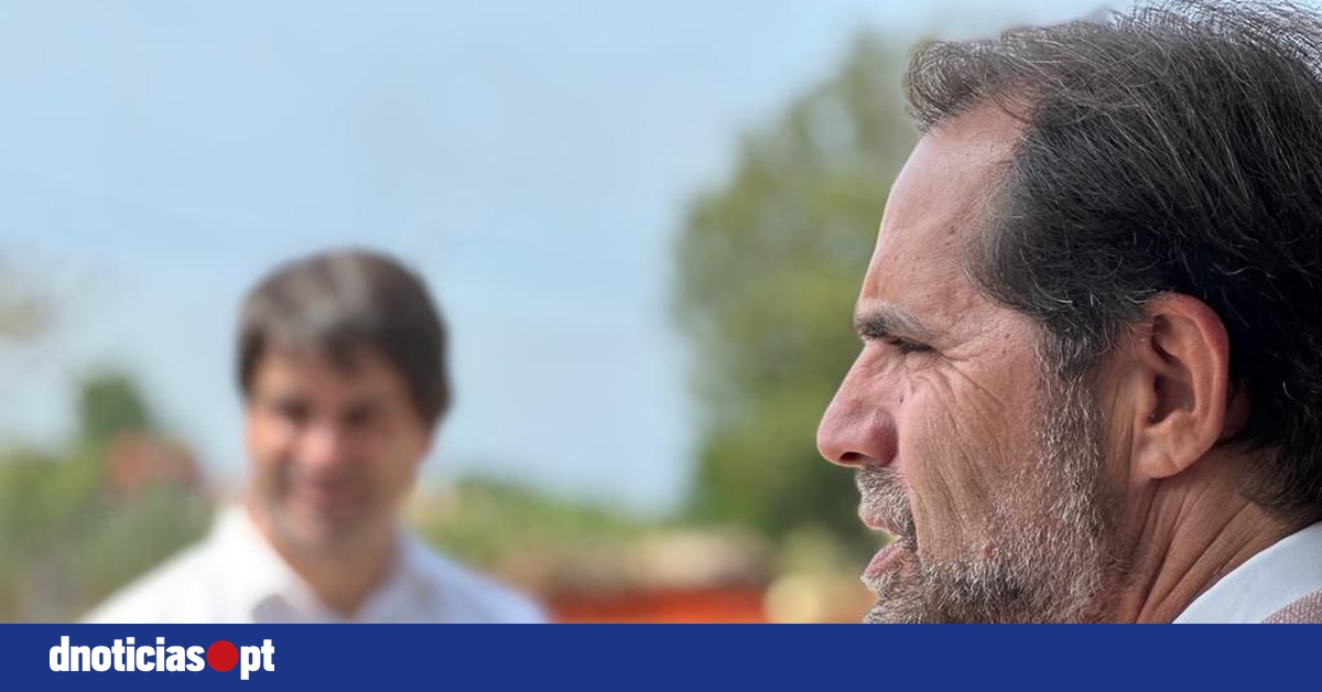 Albuquerque retarda lista de deputados para não haver amuos — DNOTICIAS.PT