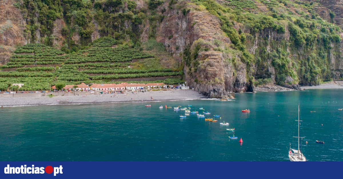 Câmara da Ponta do Sol limpa escarpa na Madalena do Mar — DNOTICIAS.PT