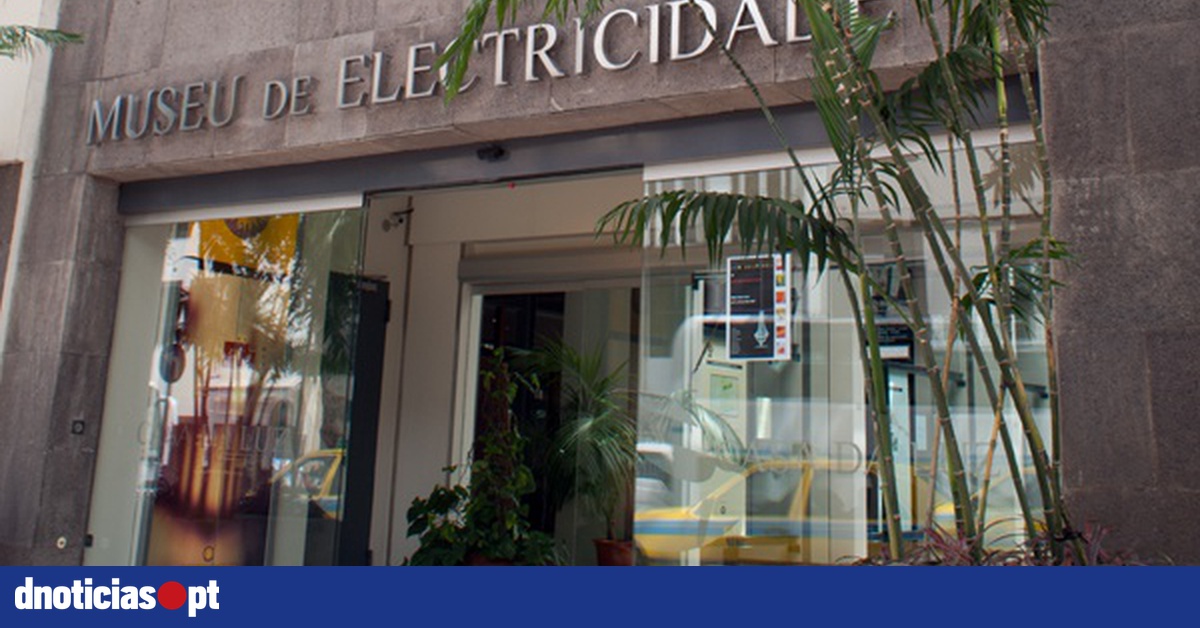 Casa da Luz recebe exposição 'Filosarte in Natura' — DNOTICIAS.PT
