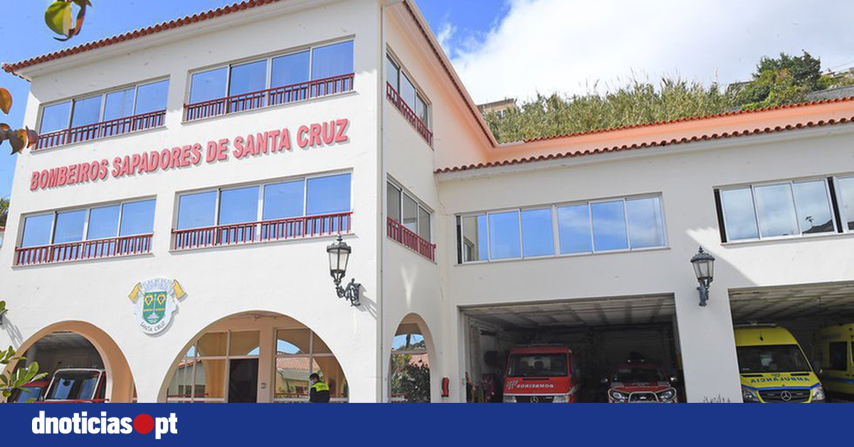 Queda de folhas e árvores mobiliza bombeiros em Santa Cruz — DNOTICIAS.PT