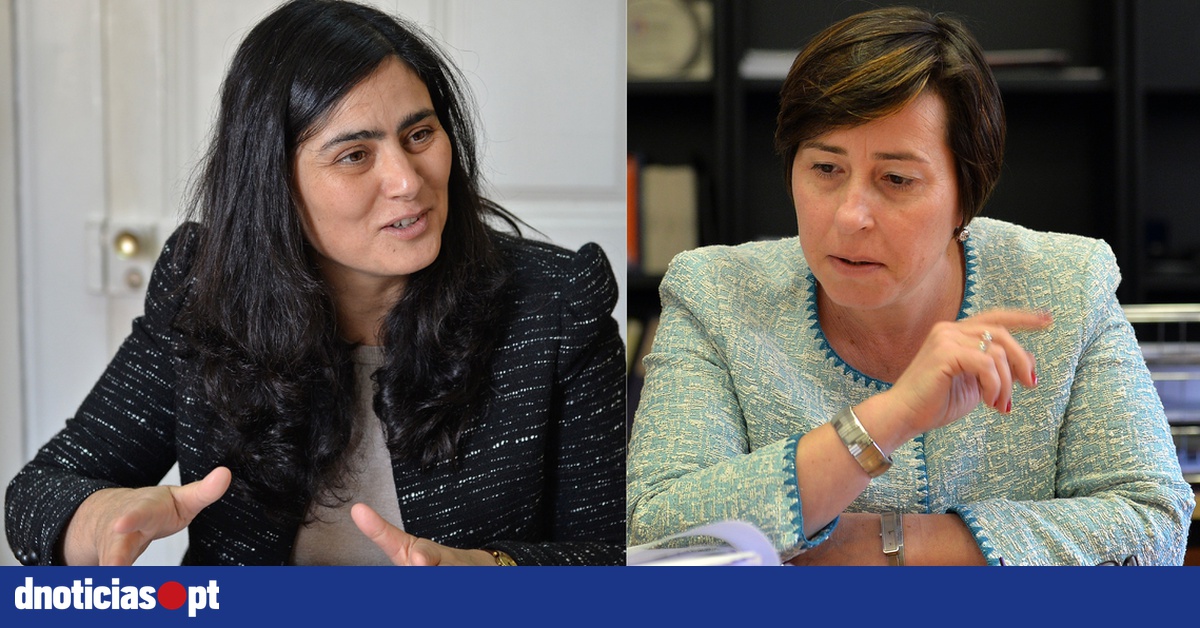 Governo afasta Emília Alves da presidência do IDR e nomeia Maria João ...