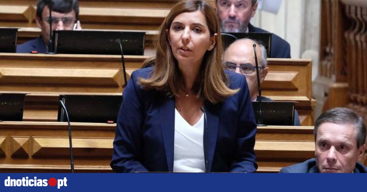 PSD conta com entendimento com PS sobre o CINM — DNOTICIAS.PT