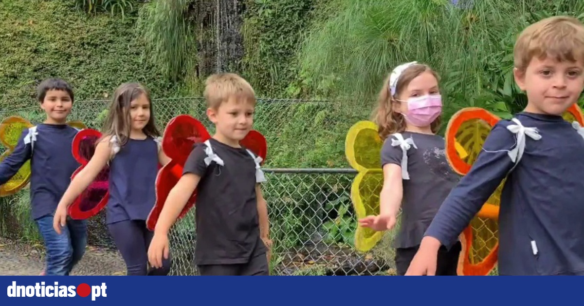 Veja o vídeo da 'Festa no Jardim' do Colégio Infante Dom Henrique ...