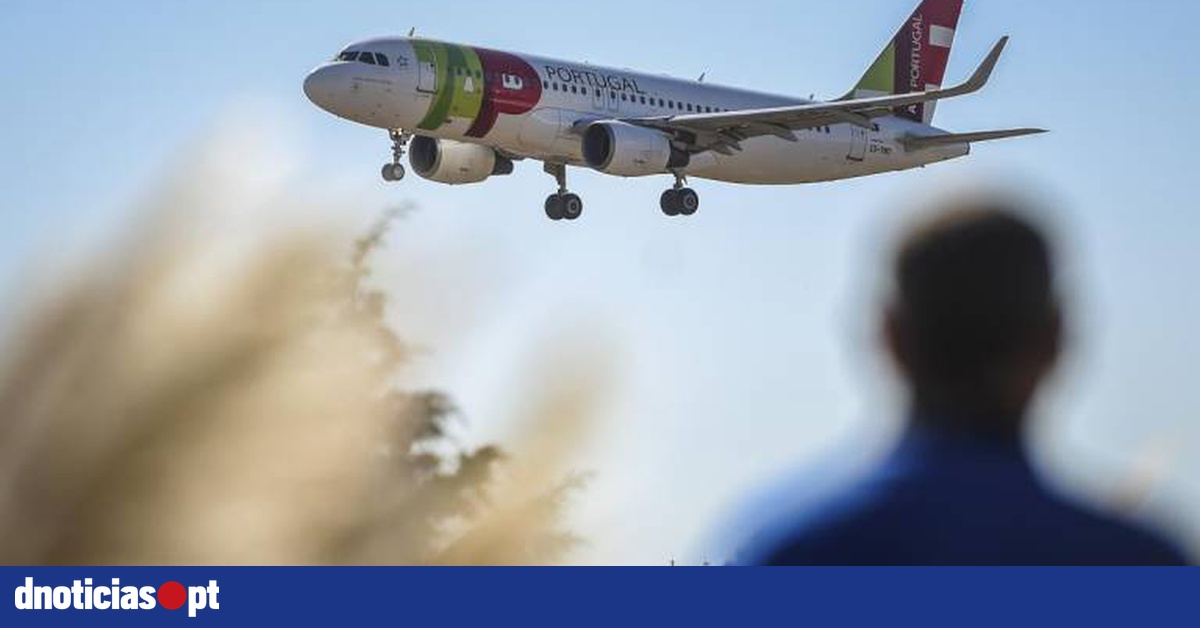 Avião da TAP atingido por ave no aeroporto da Praia pela segunda vez ...