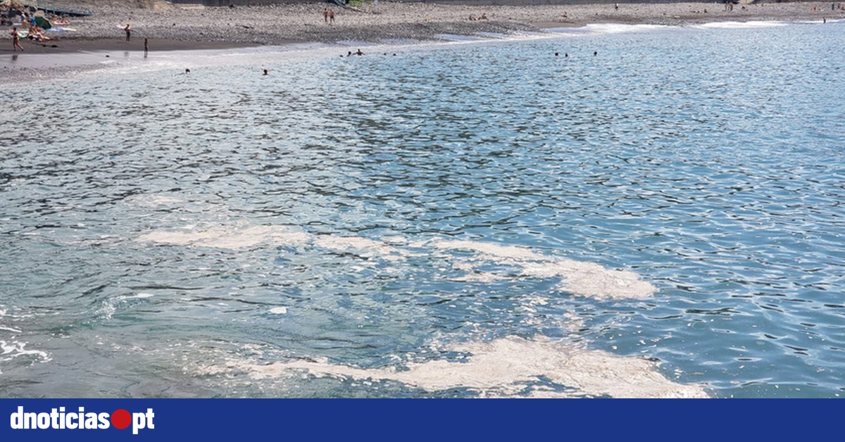 MPT propõe soluções para resolver questão da sujidade das águas do mar ...