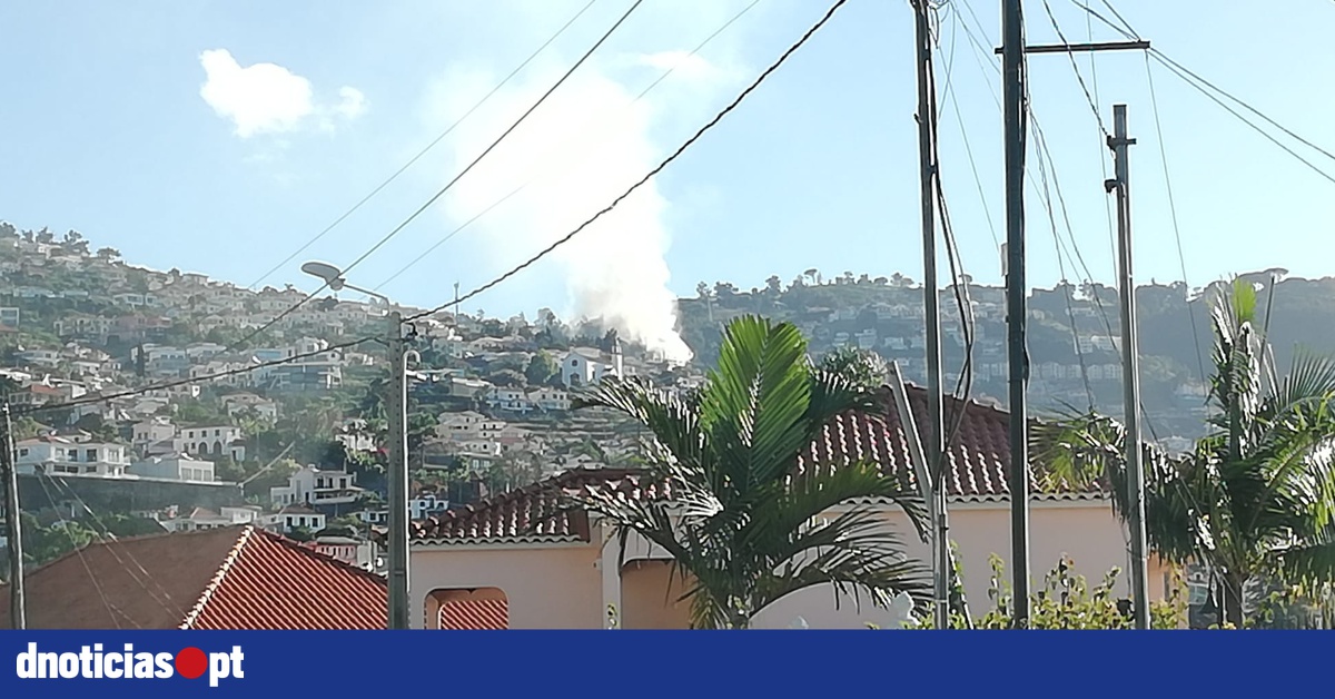 Queimada autorizada desperta curiosidade — DNOTICIAS.PT