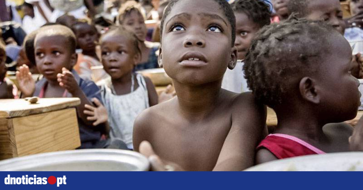 Crise alimentar em África pode ser mais "aguda" em 2023 — DNOTICIAS.PT