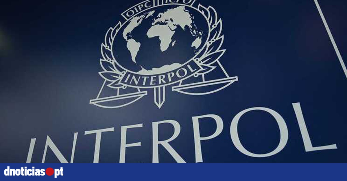 Parlamento Europeu questiona Governo sobre diploma relativo à Interpol ...