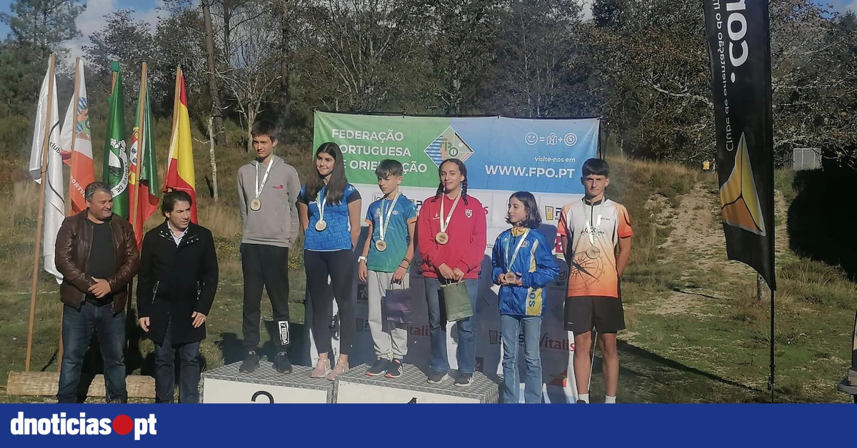 Leonor de Castro e Freitas premiada em Festival internacional ...