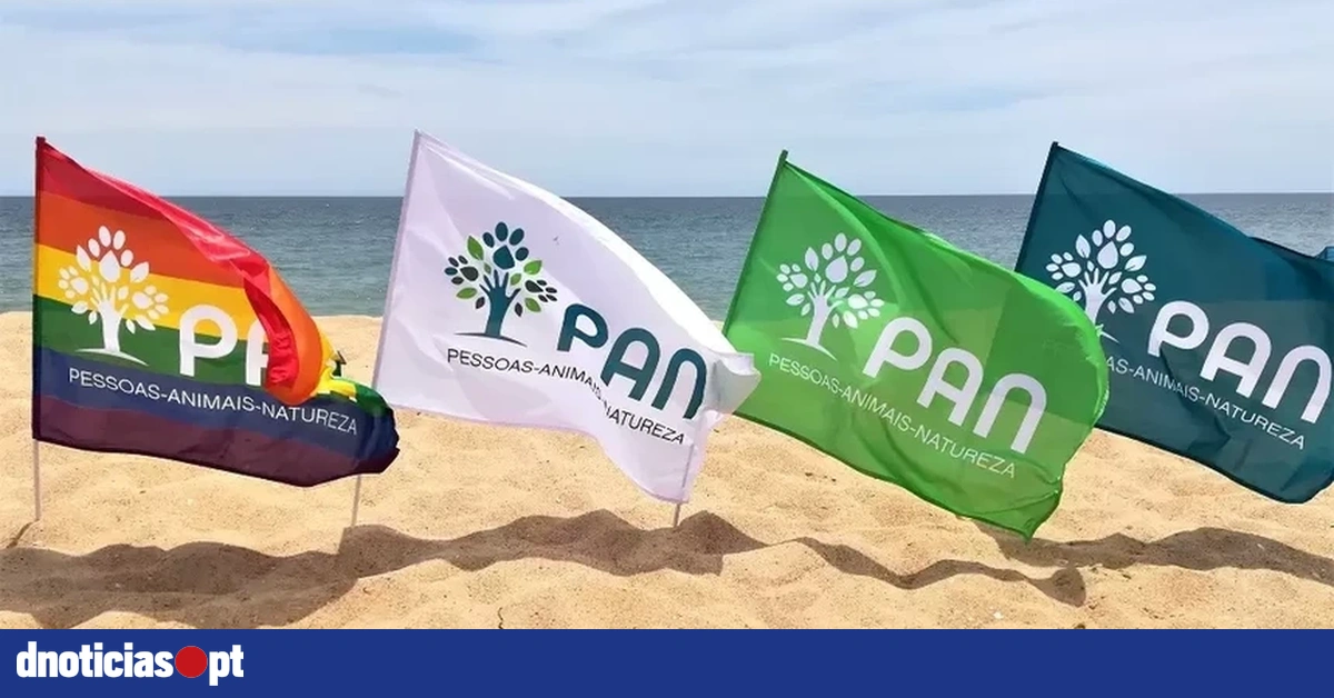 PAN preocupado com a "instabilidade dos últimos meses" — DNOTICIAS.PT