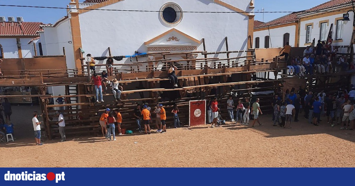 Touradas de morte começam hoje nas Festas de Barrancos — DNOTICIAS.PT