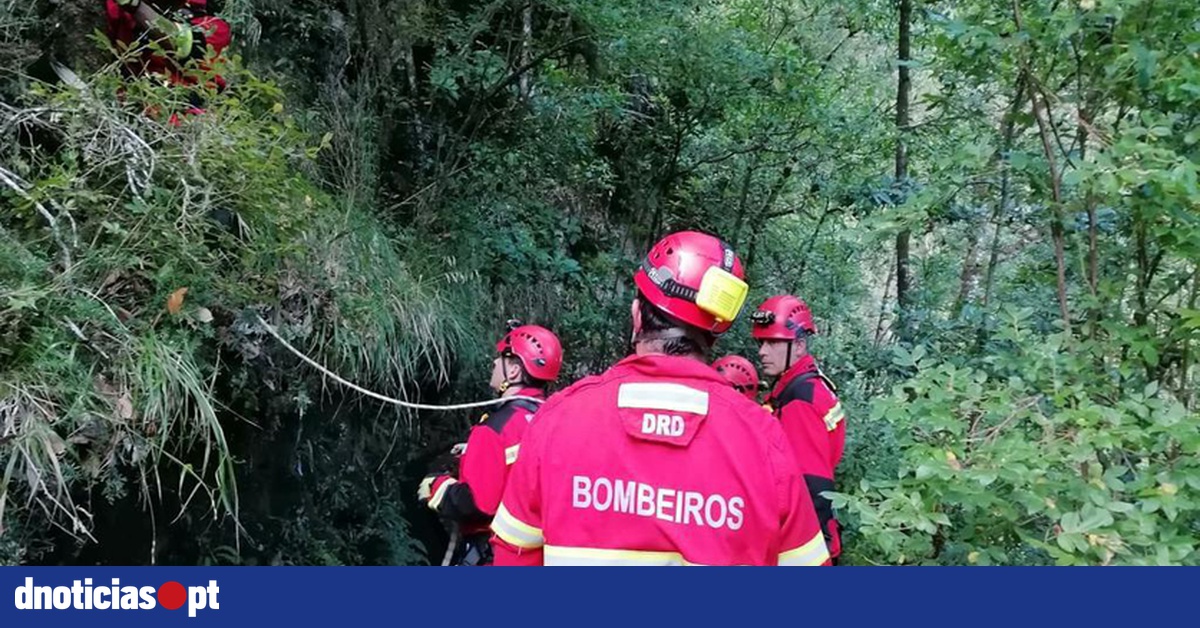 Turista sofre queda de 30 metros no Fanal — DNOTICIAS.PT