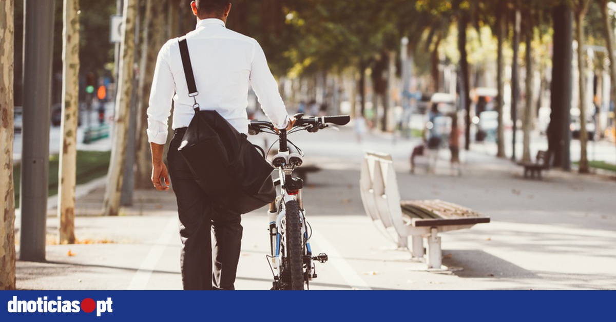 Programa para a Acção Climática e Sustentabilidade "volta a esquecer a ...