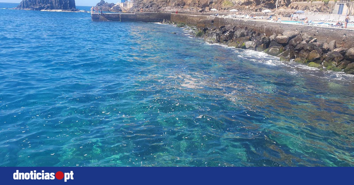 Sujidade volta ao mar do Funchal em dia com temperaturas elevadas ...