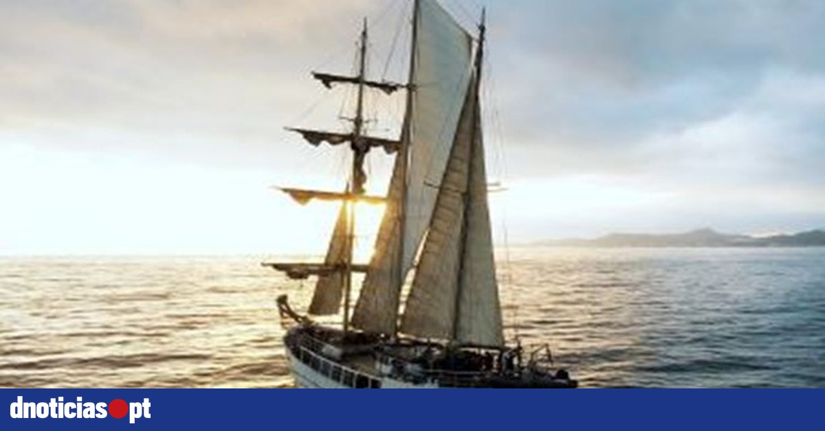 ONG francesa vem à Madeira realizar campanha ambiental — DNOTICIAS.PT