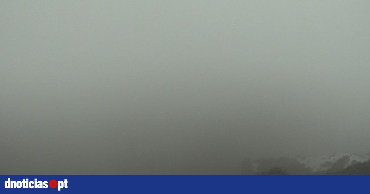 Caiu neve nos picos mais altos da Madeira — DNOTICIAS.PT